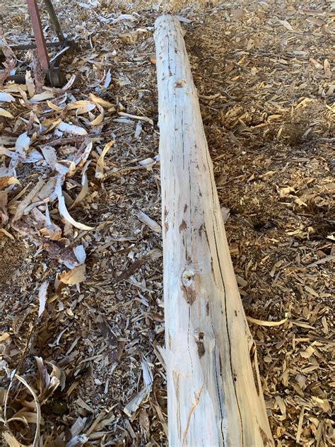 Poles And Logs