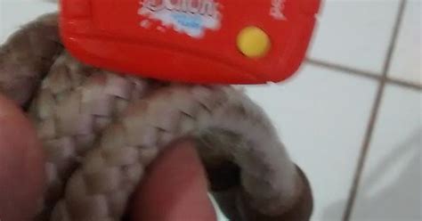 If You Do Not Jump Rope Start Today Oss Album On Imgur