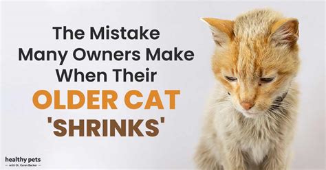 Shrinking Kitty Syndrome