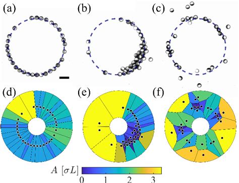 Figure 1 From Motility Induced Clustering Of Active Particles Under Soft Confinement Semantic