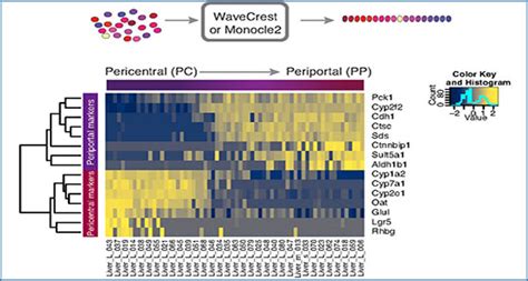 The Importance Of Selecting A Scrna Seq Protocol Based On The