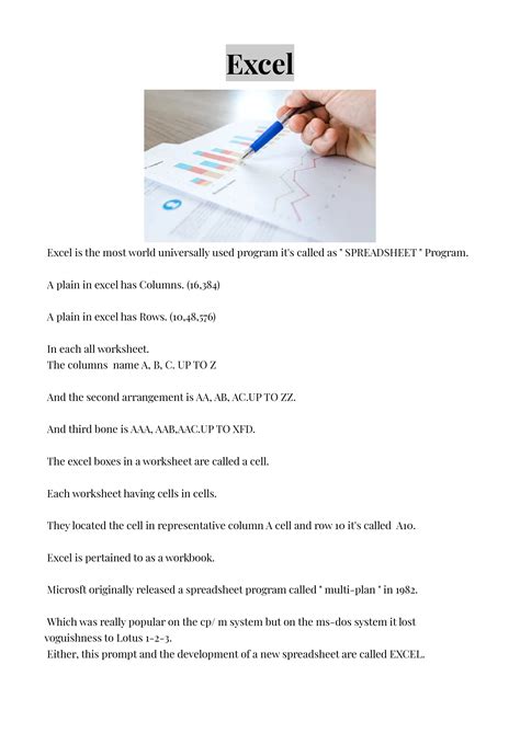 SOLUTION Excel History Studypool