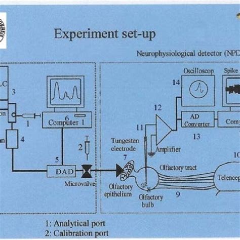 On The Picture A Schematic Drawing Of The Experimental Set Up Of HPLC Download Scientific