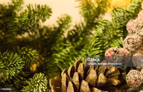 배경 장식 크리스마스 베이스 큰 원뿔 부분 홀리 트리 복사 공간 흐린 전나무 나무 배경 12월에 대한 스톡 사진 및 기타 이미지 12월 가문비나무 가시 Istock