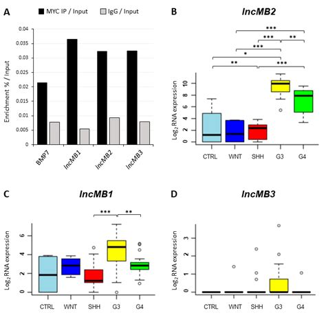 Identification And Functional Characterization Of Novel Myc Regulated Long Noncoding Rnas In
