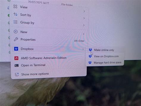 How To Make Files Always Available Offline The Dropbox Community