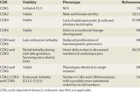 Gene Targeting Of Cdks In Mice Download Scientific Diagram