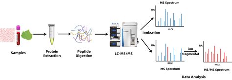 De Novo Sequencing Mtoz Biolabs