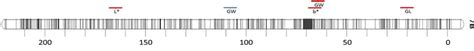 Genetic Map Of Qtls Identified For Grain Shape And Color Related Traits