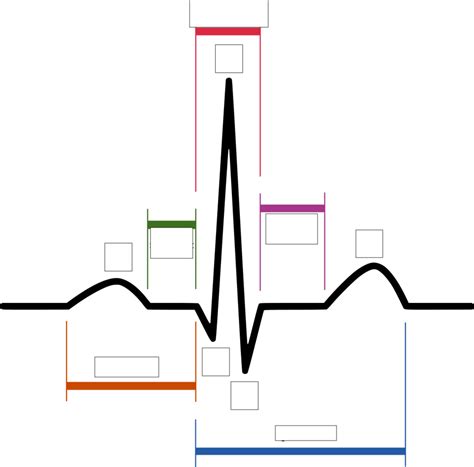 Ecg Diagram Diagram Quizlet