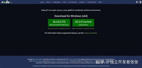 node js究竟是什么？初学者指南 知乎