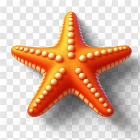 깊고 어두운 배경에 눈에 띄는 외관과 질감을 강조하는 주황색 불가사리를 특징으로 하는 클립아트 주황색 불가사리가 등장하는 클립아트 깊은 대비로 눈에 띄는 외관과 질감을