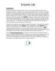Exploring Enzyme Activity Effects Of Temperature And PH Course Hero