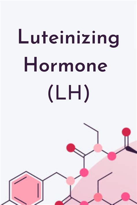 Luteinizing Hormone Function Symptoms And More Hormones Menstrual Health Menstrual Cycle
