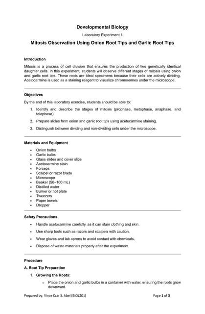 Mitosis Practical Of Bio Engineering Field Ppt