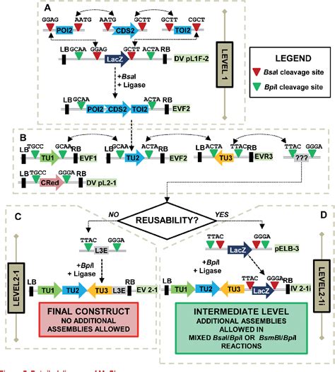 Figure 6 From Design And Development Of Modular Dna Assembly Tools For