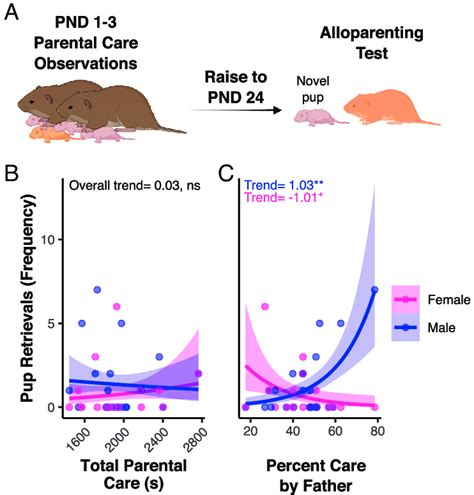 Sex Specific Impact Of Percent Care By Fathers On Pup Retrieval