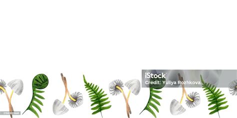 두꺼비 버섯 양치류로 만든 액자 흰색 바탕에 손으로 그린 그림입니다 디자인 배너 카드 전단지 및 초대장을 위한 템플릿입니다 0명에 대한 스톡 벡터 아트 및 기타 이미지