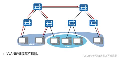 华为hcia进阶笔记：vlan原理和配置 swb vlan csdn博客