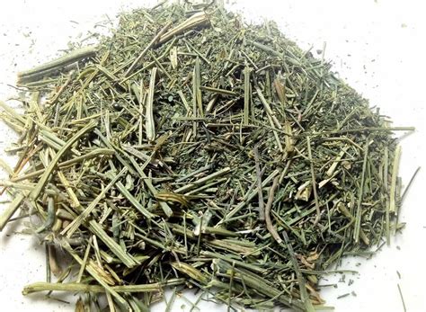 Chirata Swertia Chirayaita At ₹ 100kg Chirata Powder In Neemuch Id