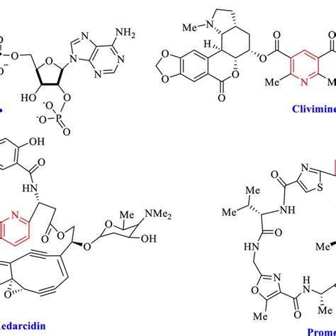 Structure Of Pyridine As Natural Products Download Scientific Diagram