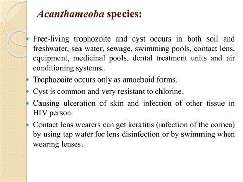 Non Pathogenic Amoebapptx