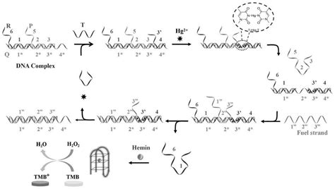 Mercury Ion Detection Method Eureka Patsnap