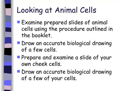 1 Introduction To Cells PPT