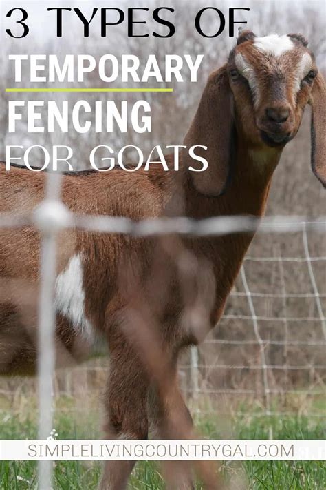 Temporary Goat Fence Simple Living Country Gal