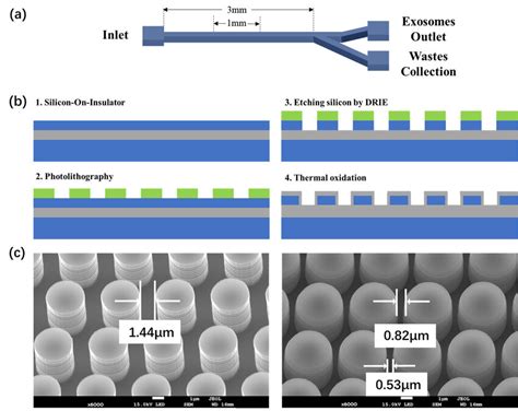 A Schematic Of The Dld Exosome Separation Chip B The Fabrication Download Scientific