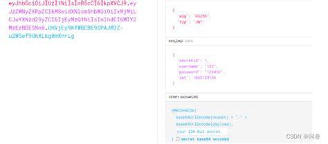 理解并使用jsonwebtoken：无签名验证示例 Csdn博客
