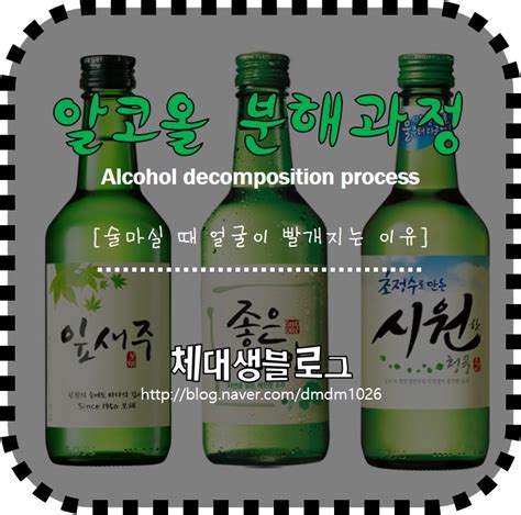 술 술 한잔에도 취하는 이유와 알코올 분해과정 네이버 블로그