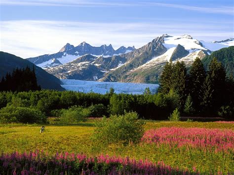Alaska Summer Wallpaper
