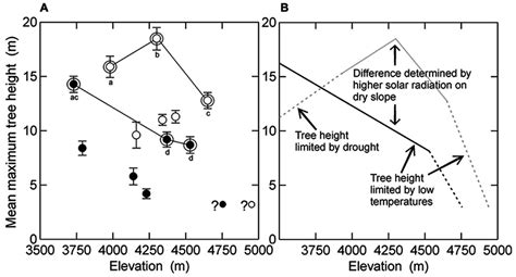 Relationship Of Mean Maximum Tree Height To Elevation In The Study Download Scientific Diagram