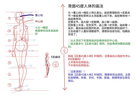 人体画法 优动漫 动漫创作支援平台
