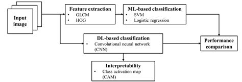 Schematic Flow Chart Of Research Outline Download Scientific Diagram
