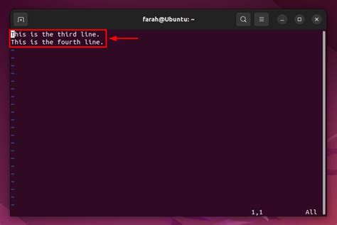 How To Delete Lines In A File Using Vim Easy Ways