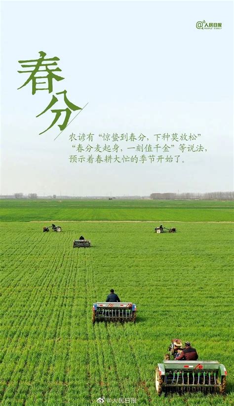 今日春分不负春光不负己 澎湃号政务 澎湃新闻 The Paper