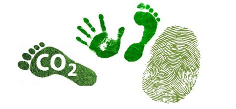 Github Juanmercurioutn Dds Tp Trabajo Practico Diseño De Sistemas