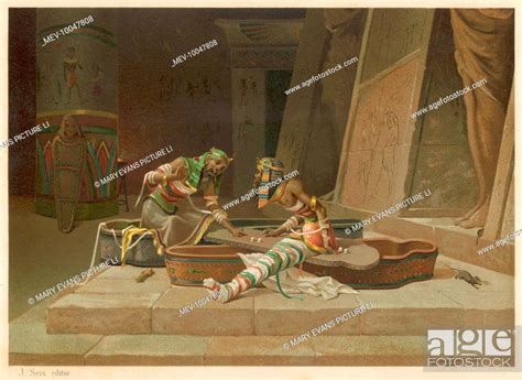 The Legend Of Prince Setna The Mummies Of Setna Son Of Ramses Ii And Ptahneferka Stock