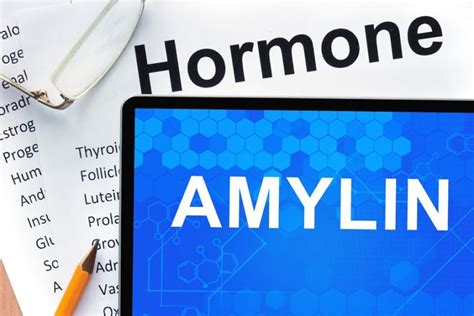 Amylin Function Associated Diseases And Drugs Selfhacked