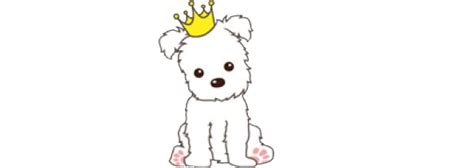 Login Simba Lovers Store Atacado