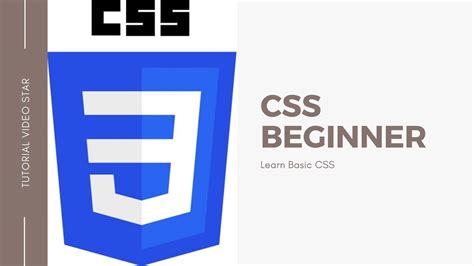 Css For Beginner Learn Programming Web Youtube