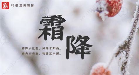 霜降摘柿子，立冬打软枣。霜降节气谚语分享 知乎