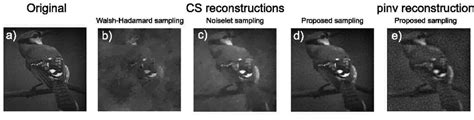 Experimental Comparison Of Different Binary Sampling Methods The