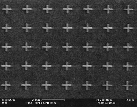 Scanning Electron Micrograph Of A Crossed Dipole Array Fabricated By