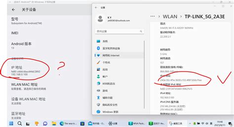 the wsa is already not support the ipv6 connections when the wsa is