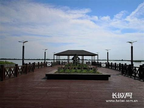 風從海上來領略古海岸非凡魅力 守護美麗京津綠肺 每日頭條
