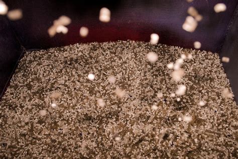 Polyethylene Vs Polymer Whats The Difference This Vs That