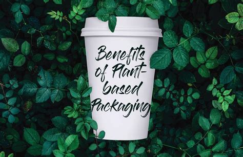 Benefits Of Plant Based Packaging Deli Business